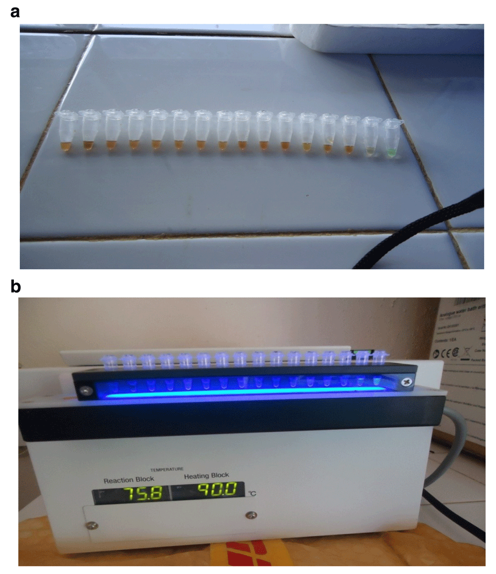 Identification of human African... | Open Research Africa