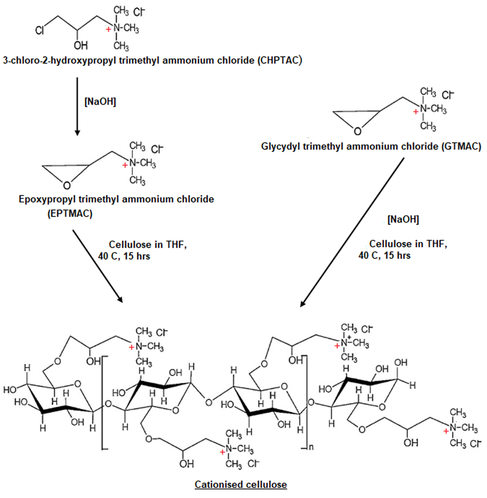 Synthesis and application of cationised... | Open Research Africa